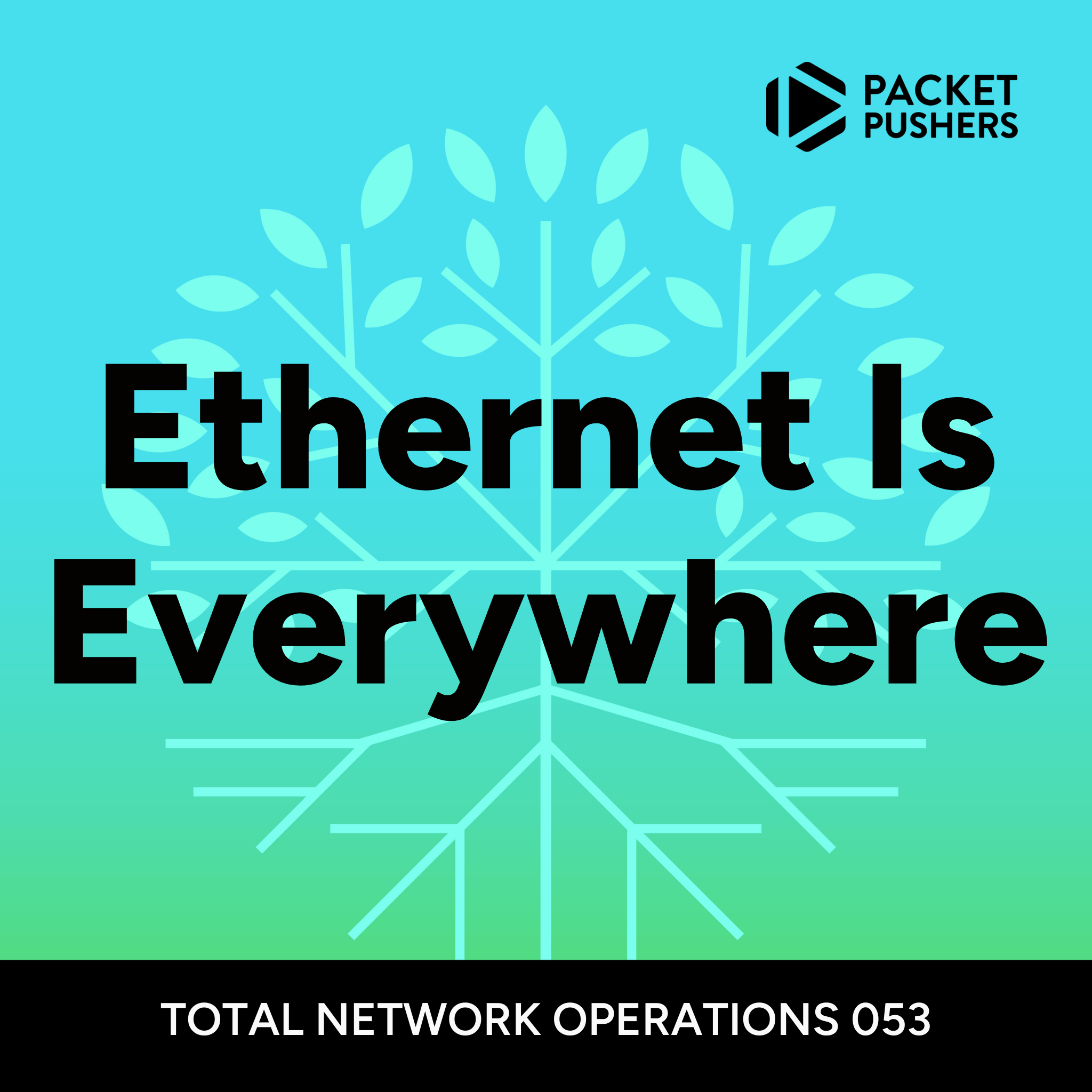 TNO053: Ethernet Is Everywhere | Packet Pushers