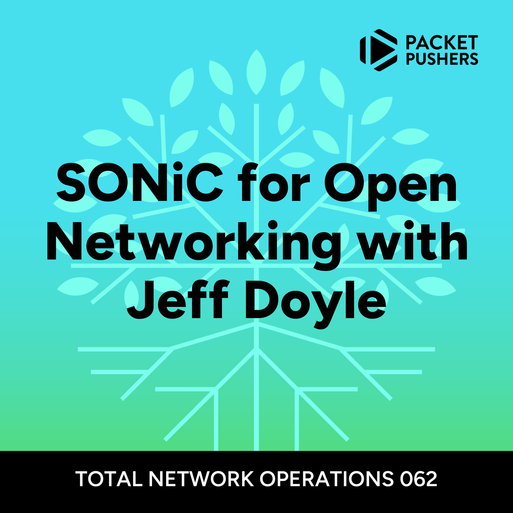 TNO062: SONiC for Open Networking with Jeff Doyle | Packet Pushers