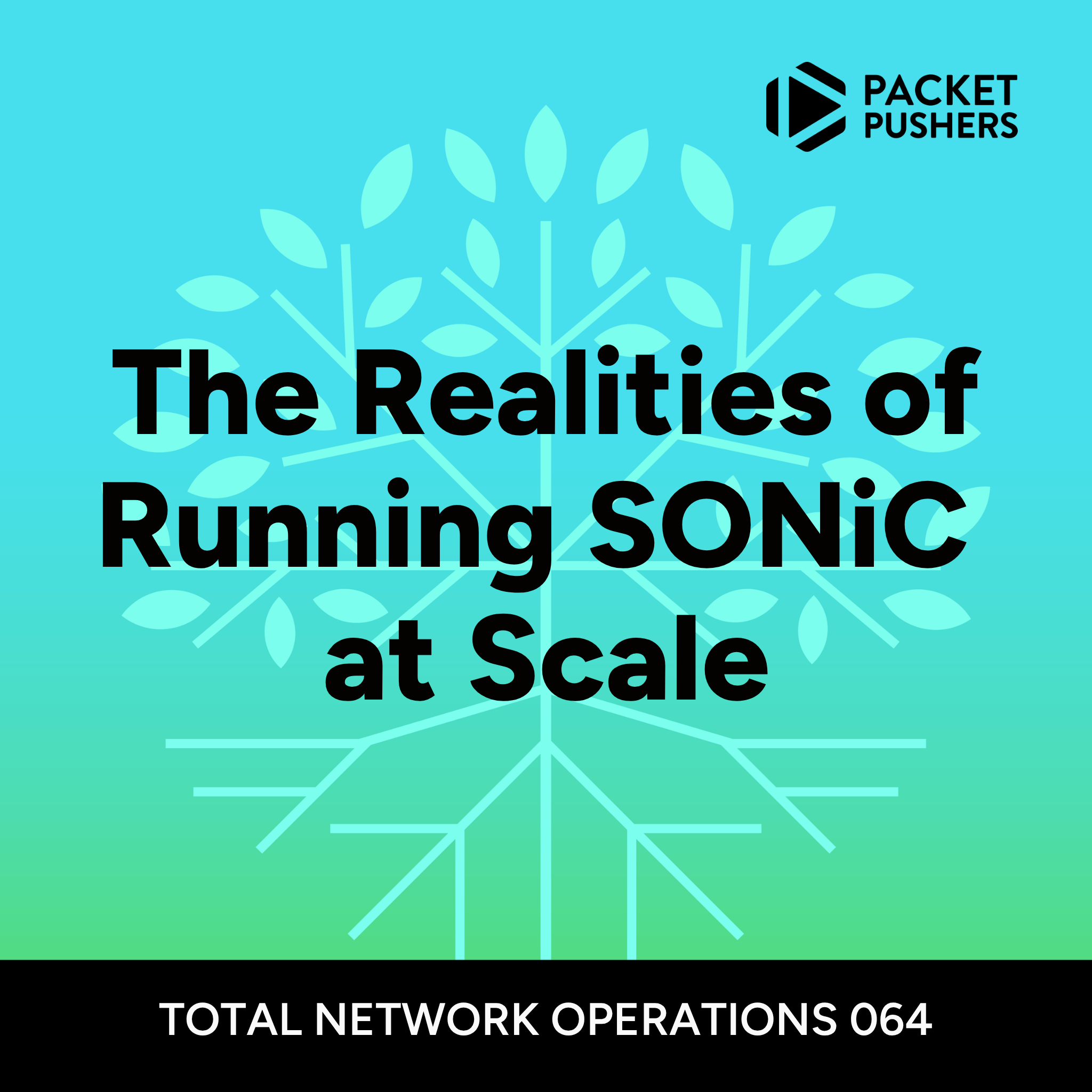 TNO064: The Realities of Running SONiC at Scale | Packet Pushers